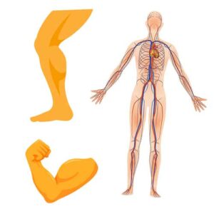 Aquarius Sign EXPLAINED - Aquarius Dates, Traits, Compatibility ...