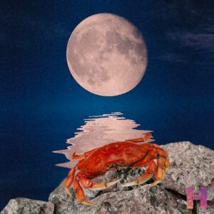 Cancer Sign EXPLAINED - Zodiac, Dates, Personality Traits ...