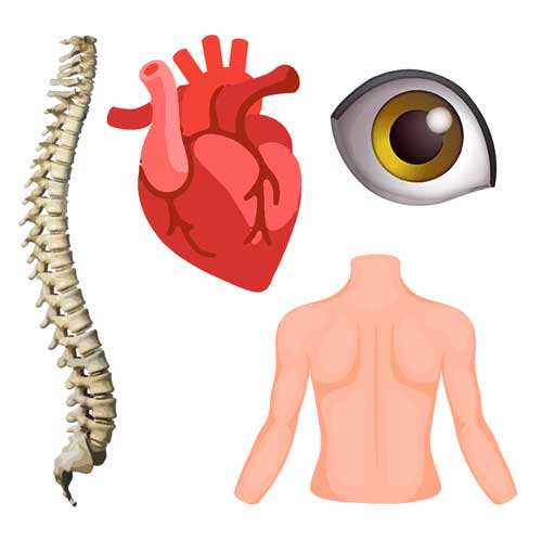 Leo Sign EXPLAINED - Dates, Personality, Compatibility, Love, Zodiac